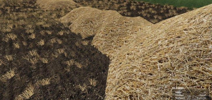Sunflower Texture v1.0.0.0 for FS19 - Farming Simulator 2022 mod, LS ...