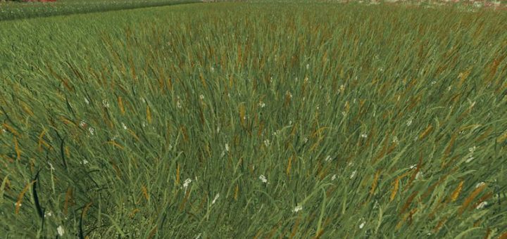 Grass Texture Farming Simulator 2017 mods, LS 17 mods | FS 17 / 2017 mods