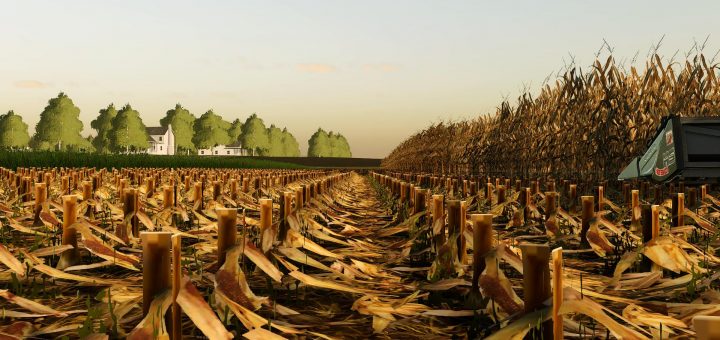 Maize Texture v1.0.0.0 Mod - Farming Simulator 2025 mod, LS 2025 mod ...