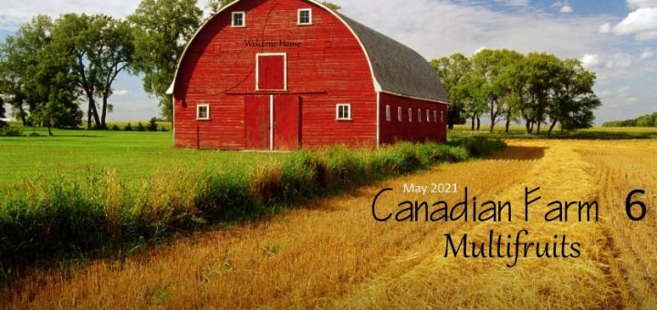 Canadian Farm Map v5.2 LS 19 - Farming Simulator 2022 mod, LS 2022 mod ...