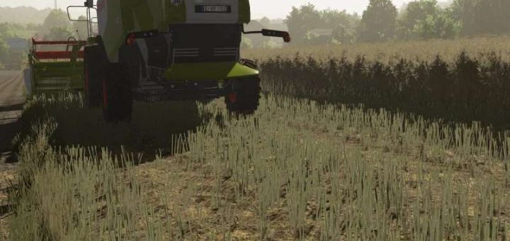 Rapeseed Textures Farming Simulator 2017 mods, LS 17 mods | FS 17 / ...