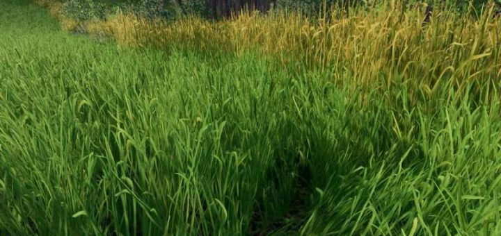 Grass Texture Farming Simulator 2017 mods, LS 17 mods | FS 17 / 2017 mods