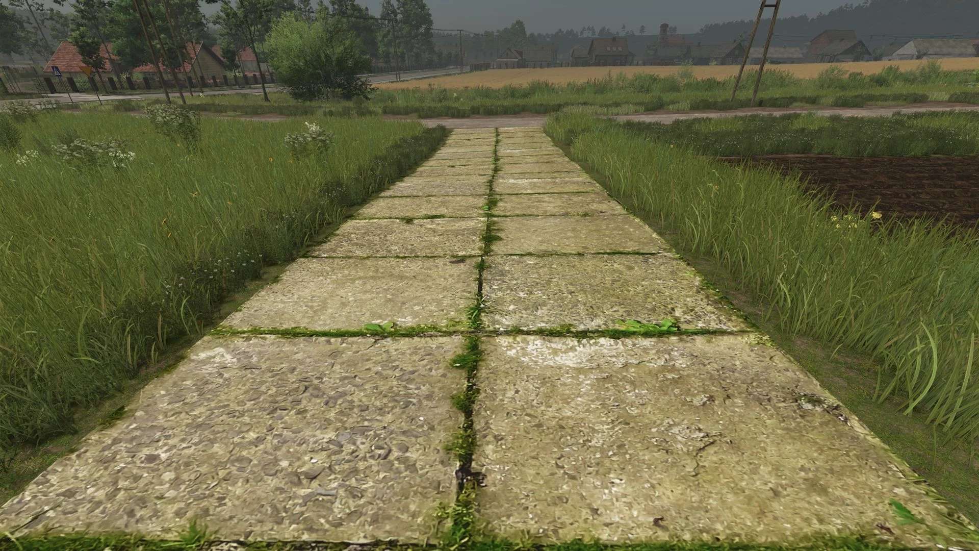 LS 25 Asphalt and Paved Roads V1.0.0.2 - Farming Simulator 2025 mod, LS ...