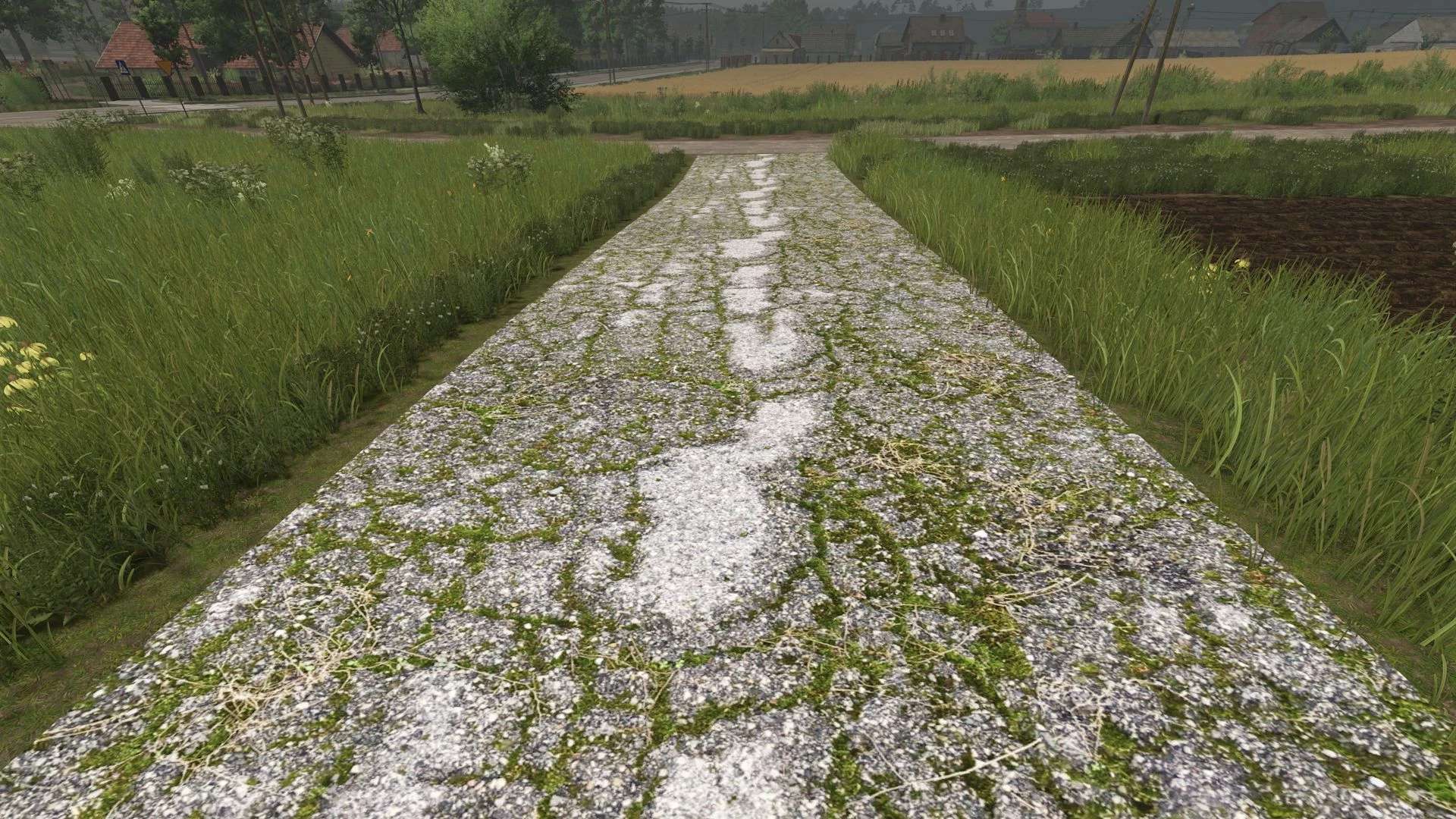 LS 25 Asphalt and Paved Roads V1.0.0.2 - Farming Simulator 2025 mod, LS ...