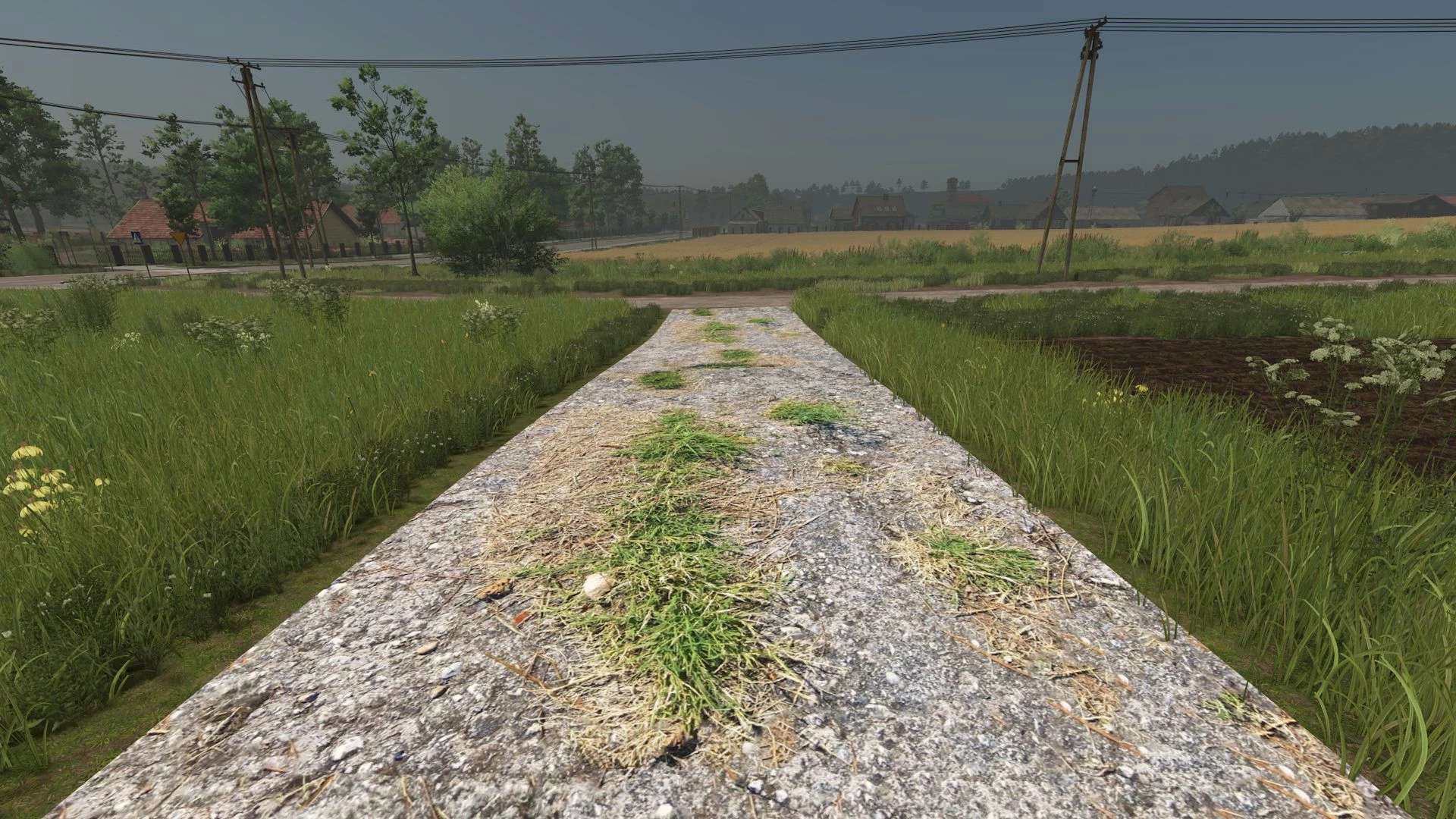 LS 25 Asphalt and Paved Roads V1.0.0.2 - Farming Simulator 2025 mod, LS ...